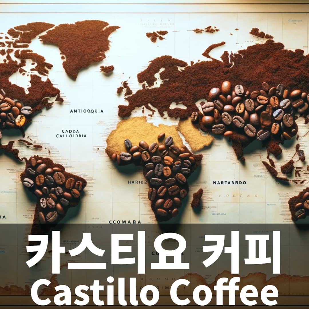 커피품종 카스티요 커피 Castillo Coffee 가드닝홈센터